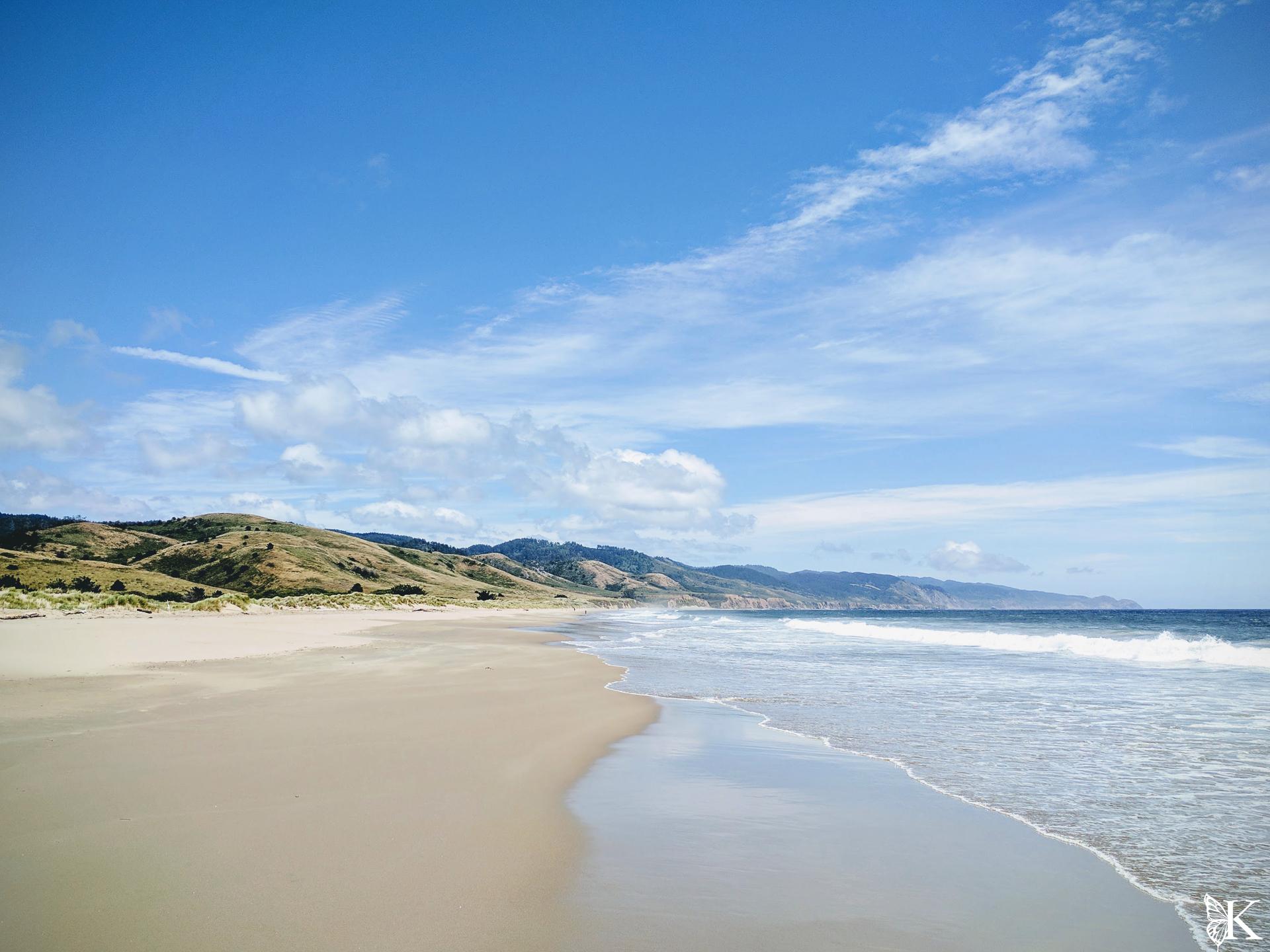 Running and Hiking in Point Reyes - Northern Zone | KUSALA ENDURANCE